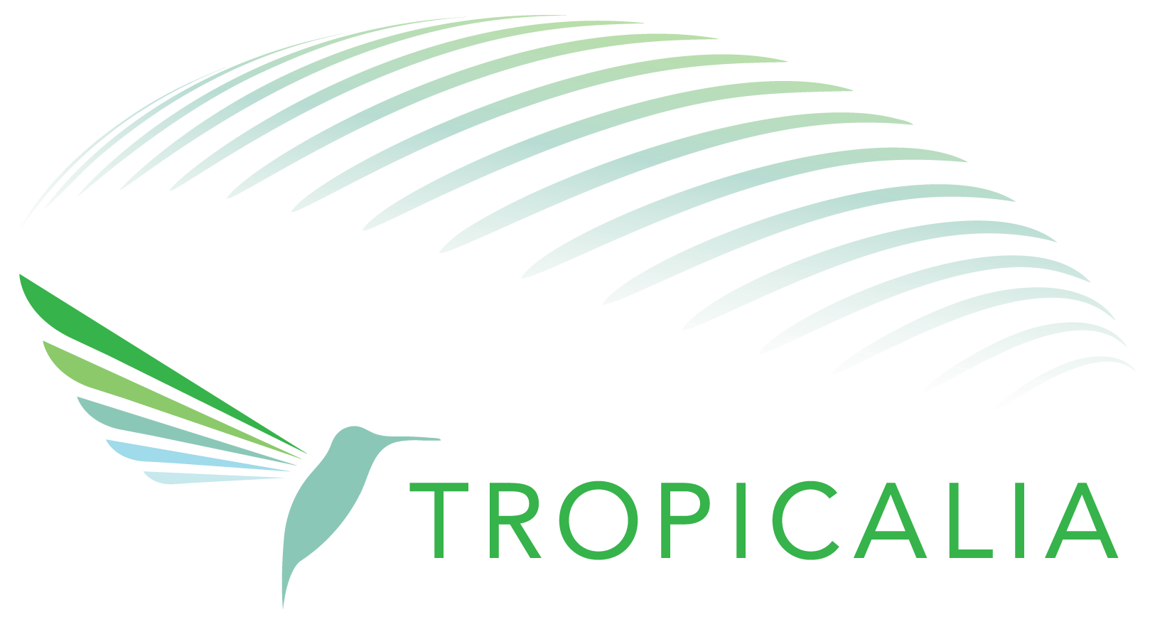 FREQUENTLY ASKED QUESTIONS - Tropicalia
